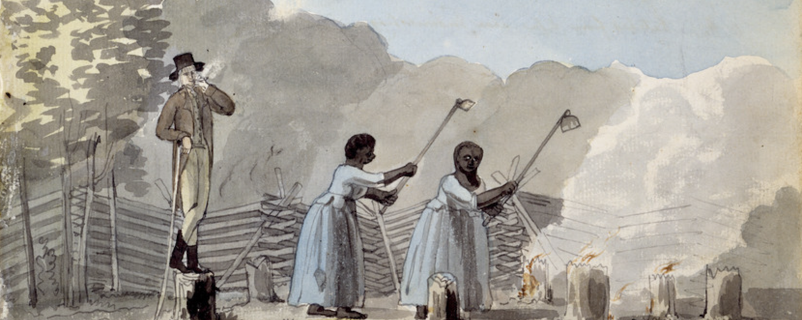 The Enslaved and Indentured Servants: Bondage in Colonial America